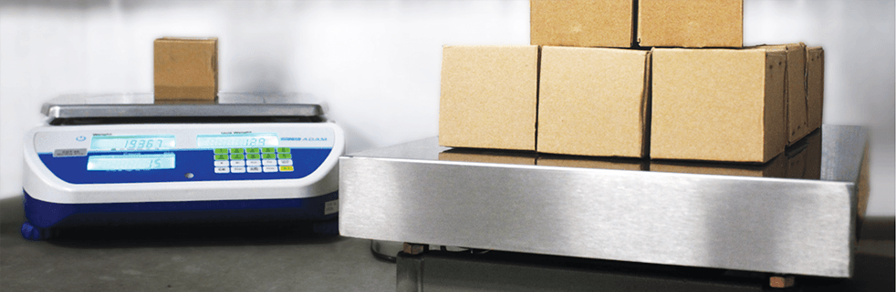 How Do Dual Counting Scales Work? | Inscale Scales - Inscale Scales