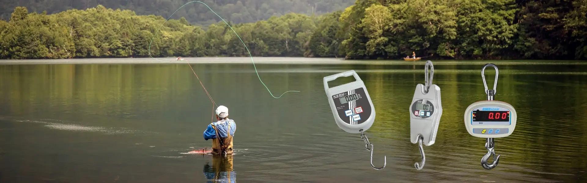 How to Weigh Fish Using a Hanging Balance | Inscale Scales - Inscale Scales