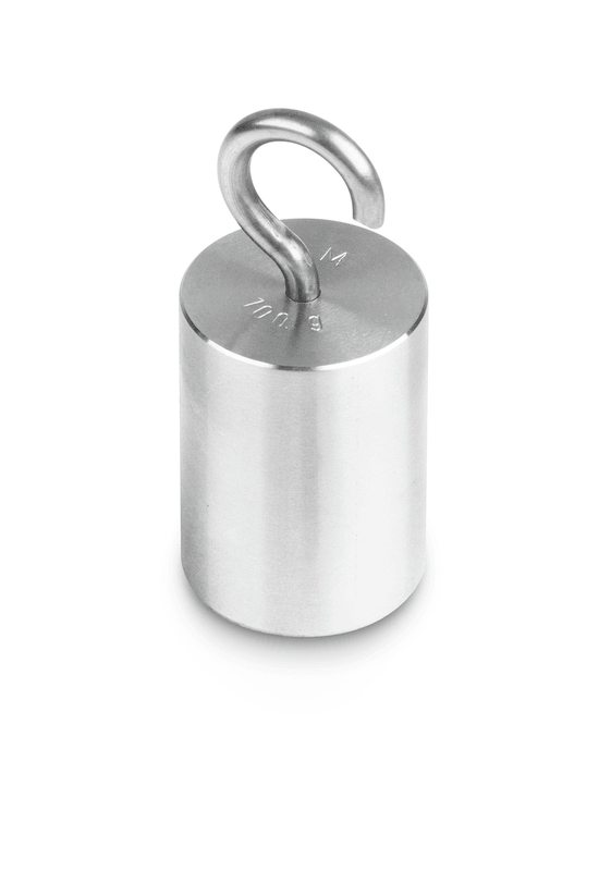 347-076 M1 Class 100g Hook Test Weight - Inscale Scales - Inscale Scales